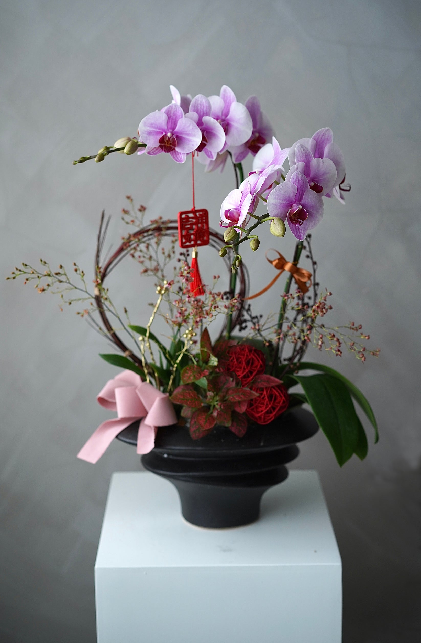 Cherry Blossom Pink Mini Orchid Arrangement – The Orchid Room